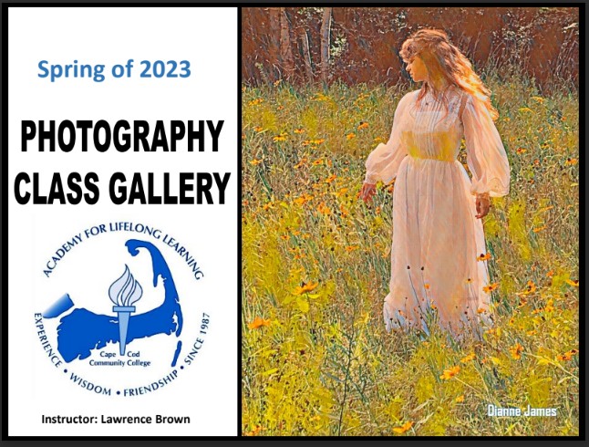Photography Class Gallery - Academy for Lifelong Learning of Cape Cod, Inc.